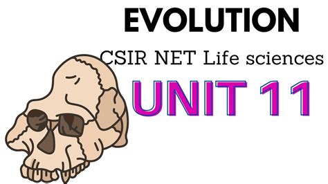 Csir Net Life Science Unit 11 Evolution Youtube