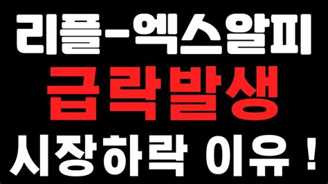 엑스알피 리플코인 Xrp 급락발생 시장하락 이유 불독코인비트코인급등코인코인단타 Youtube