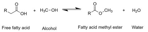 Esterification Reaction