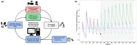 A Schematic Model Informed Precision Dosing Workflow For Voriconazole Download Scientific