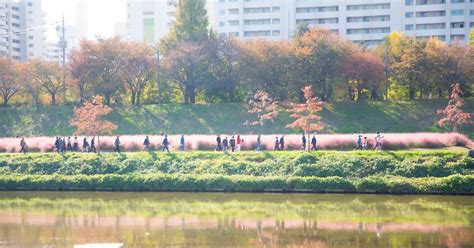 포토친구 따뜻한 오후의 산책