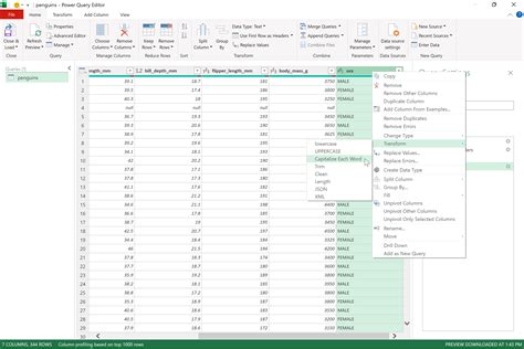 How To Replace Blank Values With Nulls In Excel Power Query