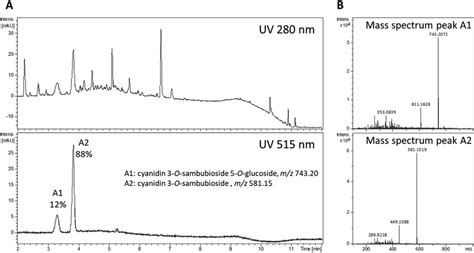 Lc Uv Ms Analysis Of Elderberry Raw Juice A Uv Chromatograms At 280 Download Scientific
