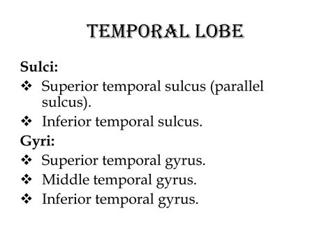 Anatomy Of Brain Sulcus And Gyrus Dr Sajith Md Rd Pptx