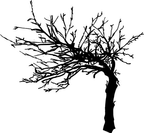 8 Tree Drawing PNG Transparent OnlyGFX Com