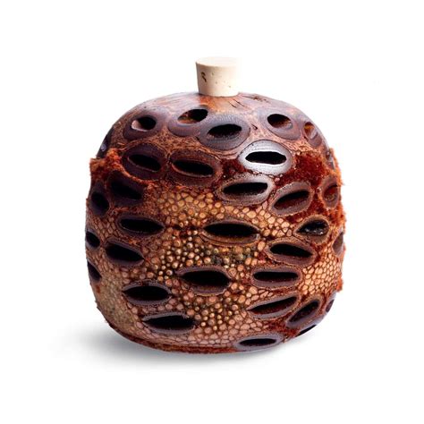 Banksia Seed Pod Diffuser Soothing Effects Massage And Wellness