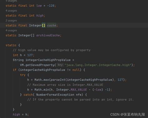 Java中的包装类 Csdn博客