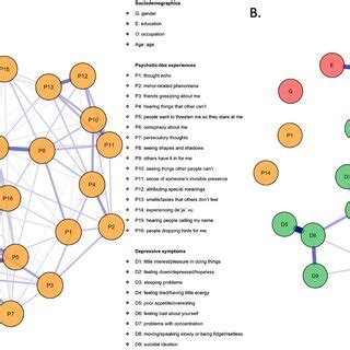 The Networks Analyzed In The Present Study A Refers To The Network Download Scientific Diagram