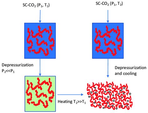Schematic Representation Of Scf Based Methods To Make Polymer Foams