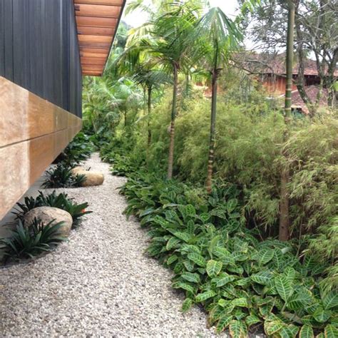 Jardim Tropical Contemporâneo Paisagismo Tropical Arquitetura Paisagística Quintal Paisagismo
