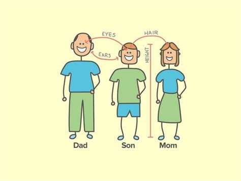 Lecture 1 Definition Of Genetics Heredity Inheritance Cytology