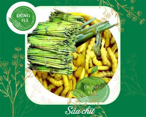 100 Natural Worms Ensure Consumers Health