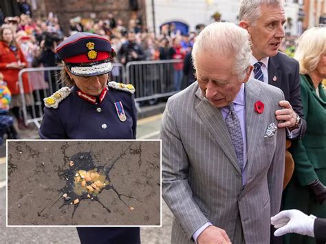 ВИДЕО: Их Британийн хаан Чарльз руу “Чи миний хаан биш” хэмээн өндөг ...