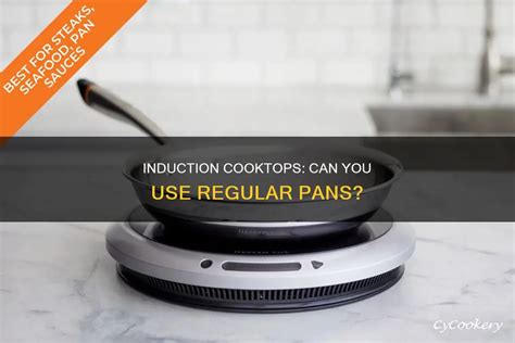 Induction Cooktops Can You Use Regular Pans Cycookery