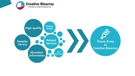 The Use Of Tissue Array Pptx Biotech And Biomedical Industry