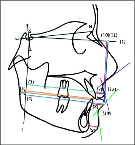 reference axes and linear and angular measurements download