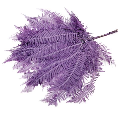 플로라 프리저브드