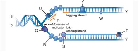 Mod 4 Micro Assignment Flashcards Quizlet