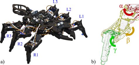 Physics Approach Leads Researchers To Chaos Insectlike Gaits For Robots