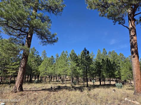 2522 Pinon Cir Happy Jack Az 86024 Mls 202547 Trulia