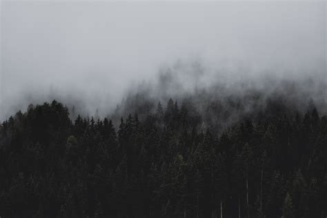 Fog Wallpapers 4k Hd Fog Backgrounds On Wallpaperbat