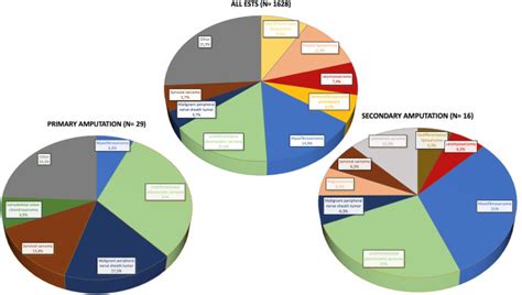 Contemporary Role Of Amputation For Patients With Extremity Soft Tissue