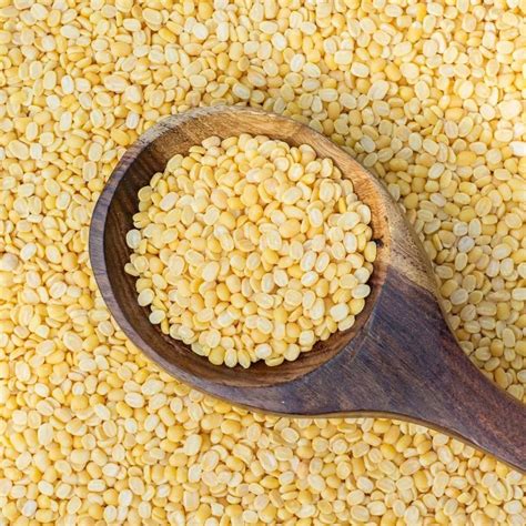 Moong Dal Wholesale Price And Mandi Rate For Moong Dal Mogar In India