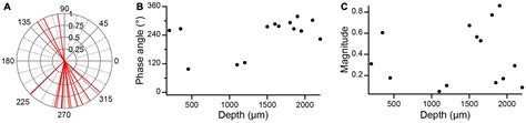 Frontiers Modulation Of Cerebellar Cortical Cerebellar Nuclear And Vestibular Nuclear