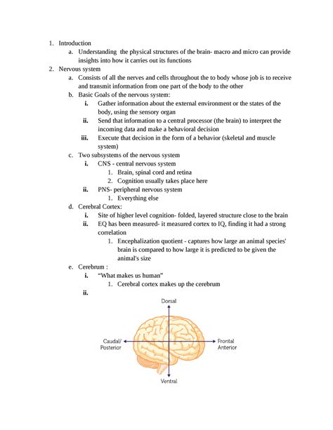 Chapter 3 Lecture Notes Textbook Summaries She Goes Based Off Of