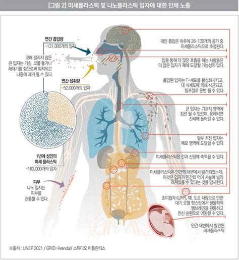 플라스틱 쓰레기가 지구 생태계에 미치는 심각한 영향내외신문