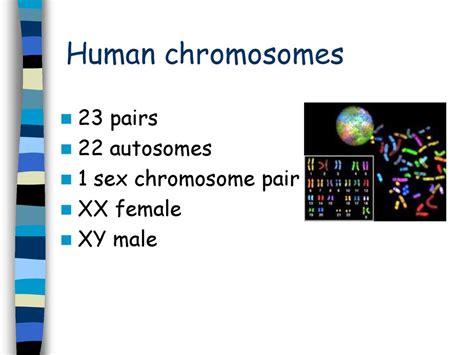 Genetics Chapters Ppt Download