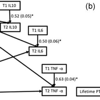 Bayesian Structural Equation Model Examining The Longitudinal Download Scientific Diagram