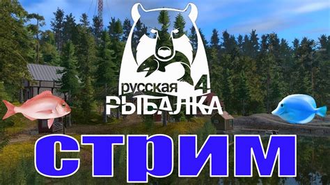 ФАРМ В РУССКОЙ РЫБАЛКЕ 4 СТРИМ ПУТЬ К ВЕНГЕ 1 Youtube