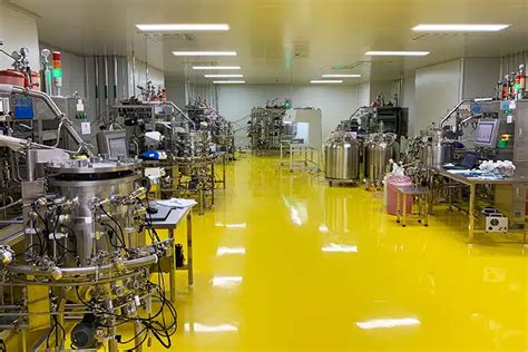 Key Bioprocess Steps From Microorganisms To Products Ritai Bioreactor