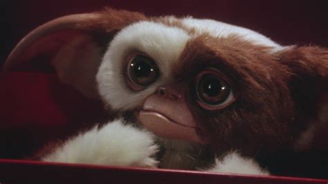 Gremlins Gizmo Wallpaper
