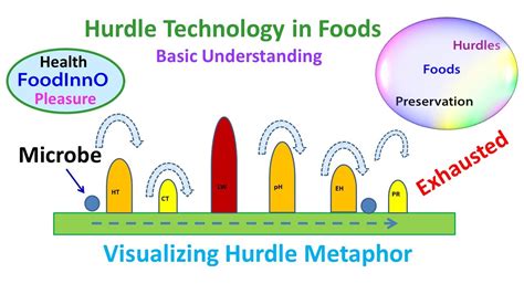 Hurdle Technology In Foods Basic Understanding Youtube