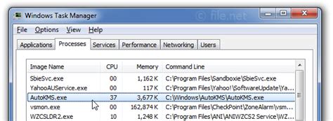 AutoKMS Exe Windows Process What Is It