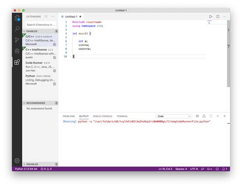 C Not Able To Take Input In Visual Studio Code MacOS Version Solution Highly Appreciated