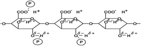 Polygalacturonic Acid Molecular Chemical Structure And Its Interaction