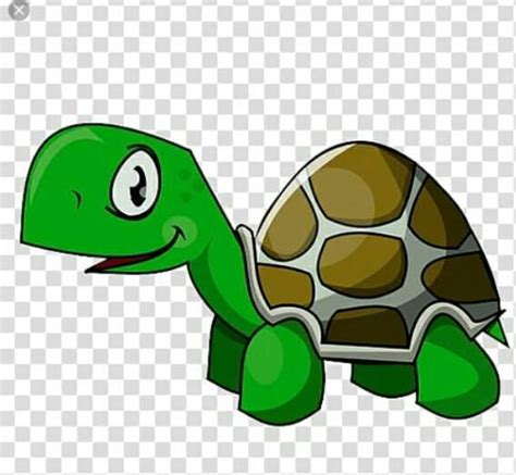 ගල් ඉබ්බා