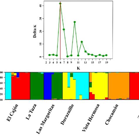 A Estimated Number Of Genetic Groups K Derived From Clustering