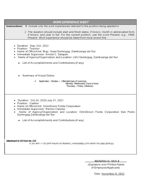 Cs Form No 212 Work Experience Sheet Pdf