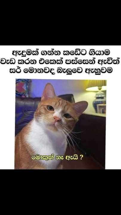 😂 කෙල්ලෙක් ඇදුමක් ගන්න ගියාම ඔහොමයි 💔 Youtube