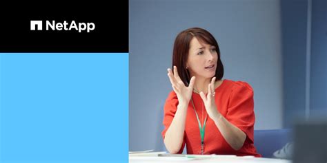 Future Of Data Storage Summary And Ebook Netapp