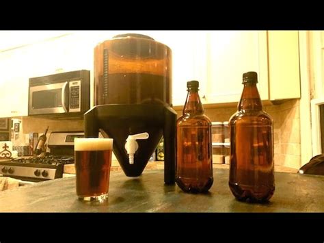 Homemade Beer From A Kit Brew Insight