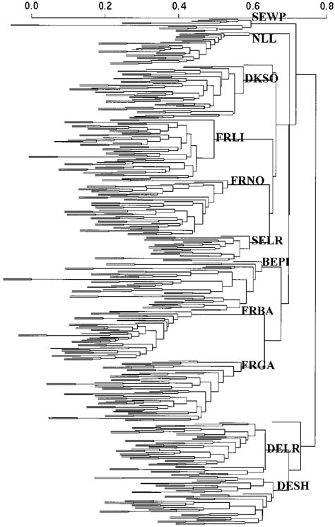 Hierarchical Clustering Based On Genetic Distances Between Individuals Download Scientific