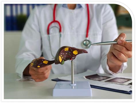 Fatty Liver Screening Phdiagnostics