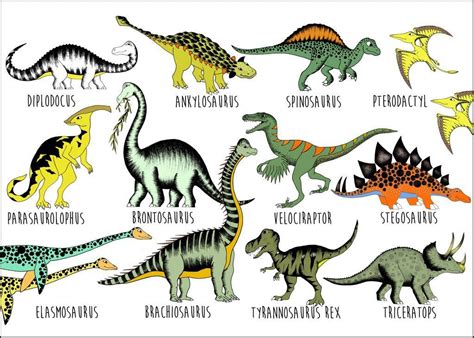 Dinosaur Name Chart Large 50cm X 70cm Dinosaurillustration