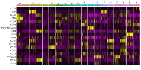 Spatial Analysis With Seurat Unlocking Single Cell Insights From Codex