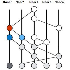 The Hashgraph Data Structure Download Scientific Diagram